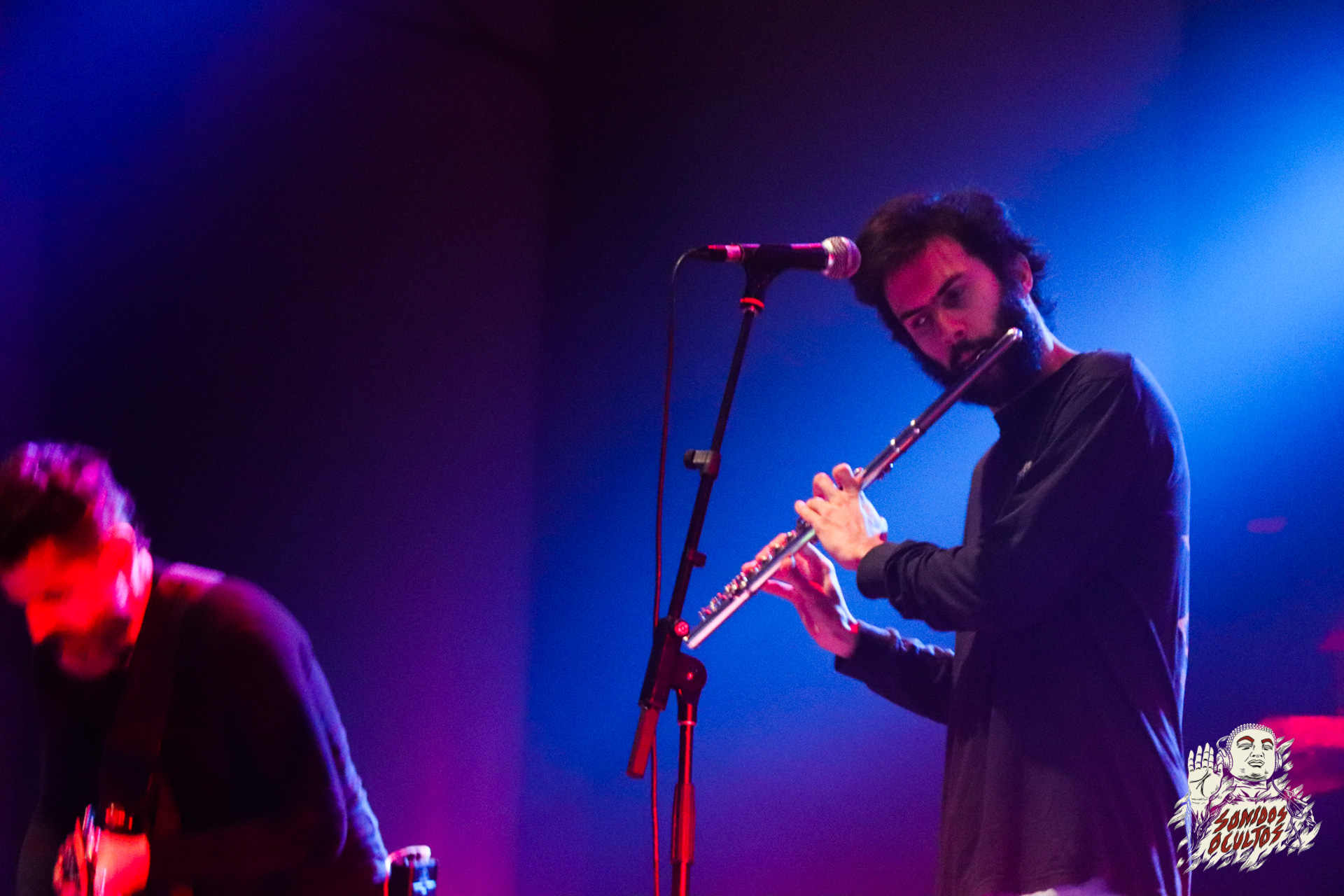 Steve Hackett y Genetics en Teatro Coliseo 2023 » Sonidos Ocultos